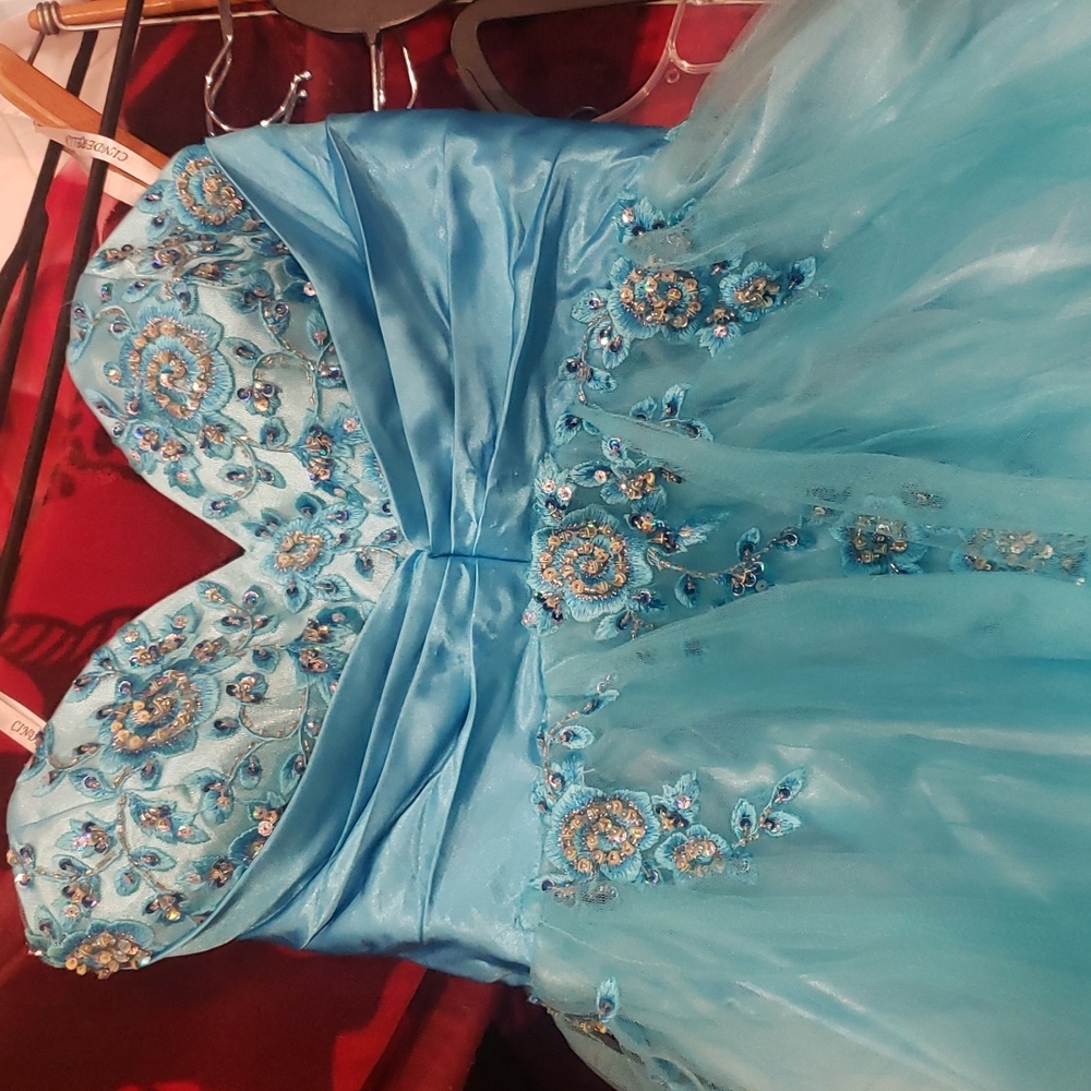 Cinderella Short Hoco Homecoming Prom Dress 12 - Gem